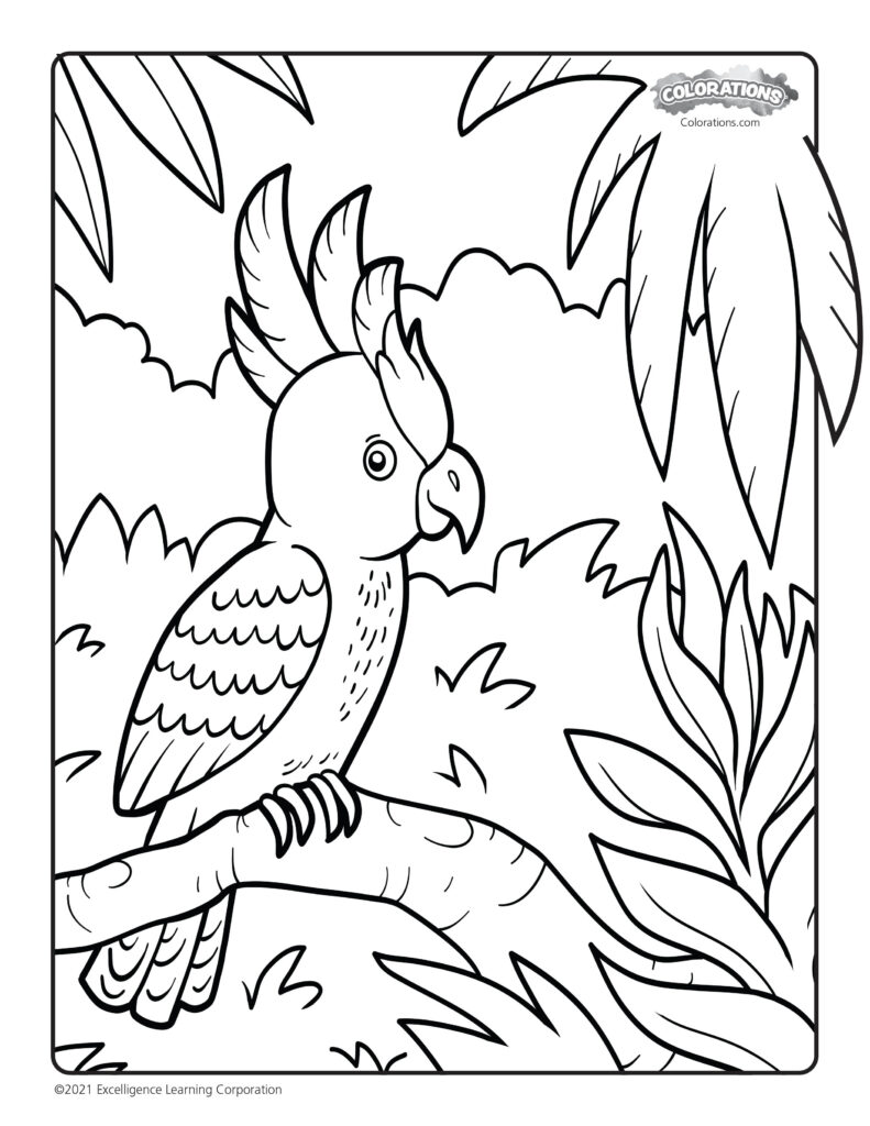 Coloring Pages - Colorations®